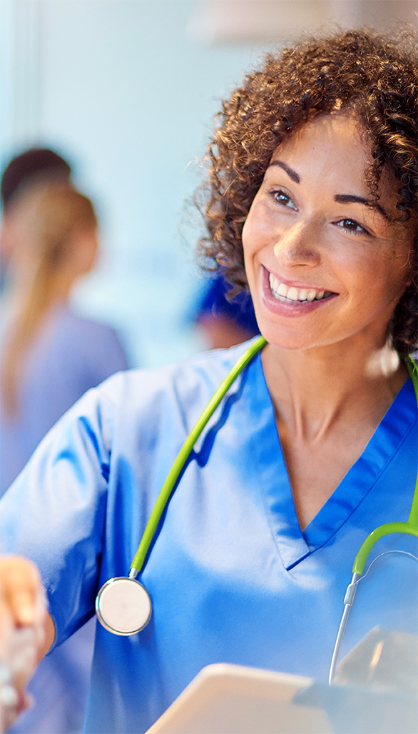 Your Contacts for the Subject Areas | Gimmi